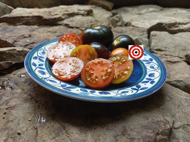 Blue Pitts Tomato-Tom Wagner Tomatoes-Bounty Hunter Seeds!