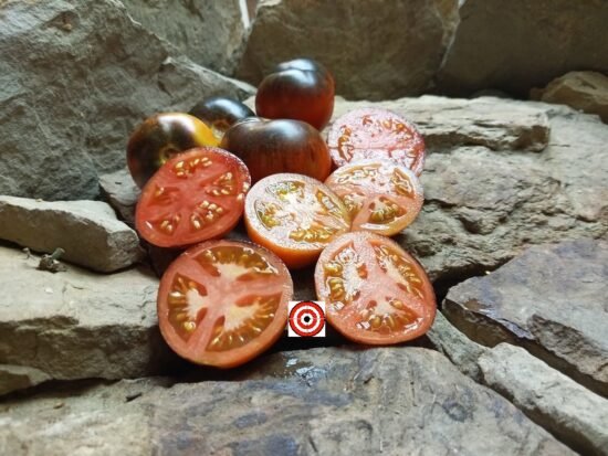 Indigo Apple Tomato-Bounty Hunter Seeds-Brad Gates Tomatoes