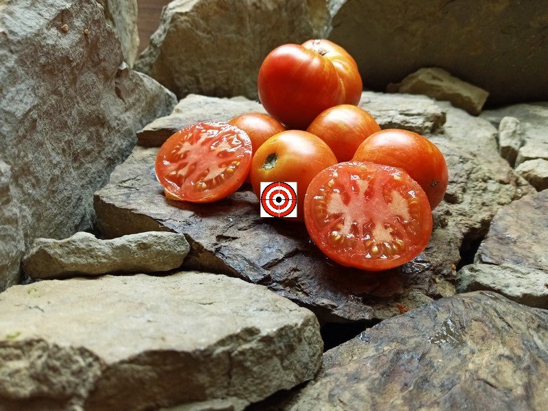 Skyreacher Tomato-Heirloom Tomatoes-Bounty Hunter Seeds