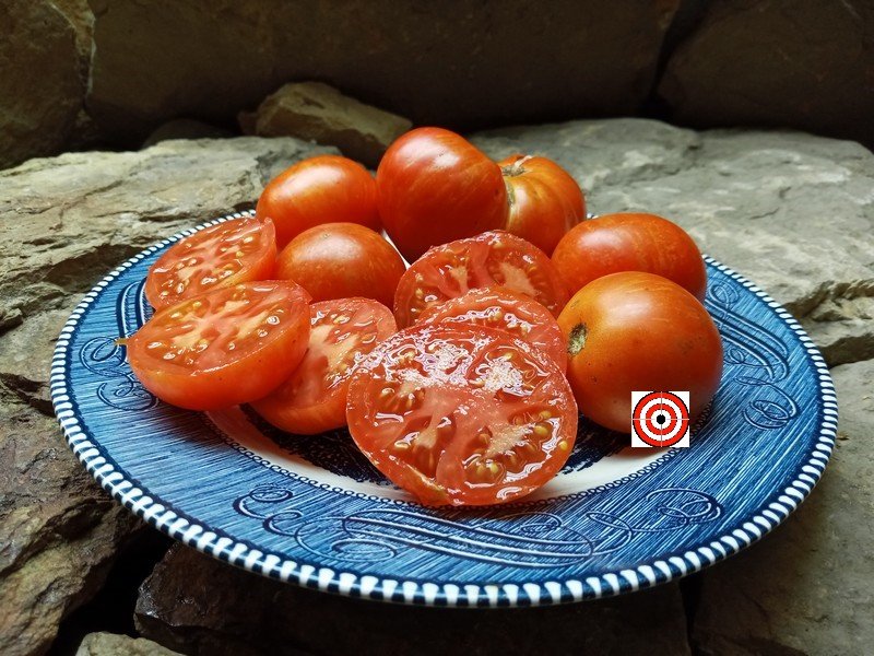Skyreacher Tomato-Heirloom Tomatoes-Bounty Hunter Seeds