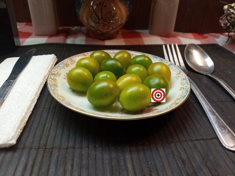 Sister Keyes Tomato - Dean Slater Seeds - Bounty Hunter Seeds!
