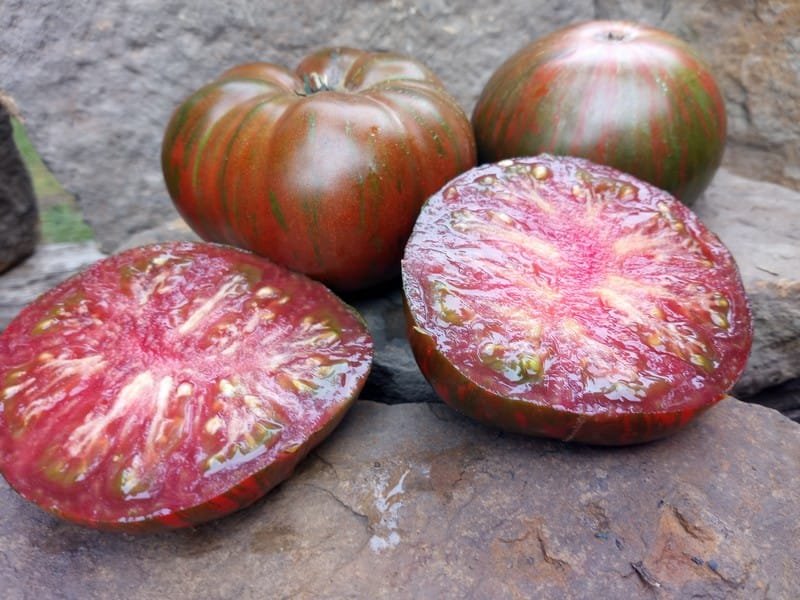 Zebra Ezel Tomato Seeds For Sale At Bounty Hunter Seeds!
