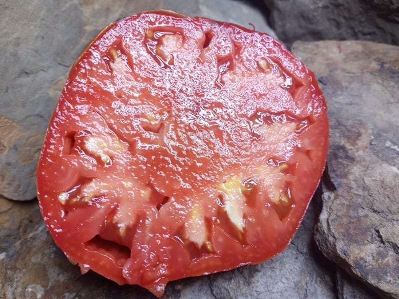 Australian Beauty Tomato Seeds For Sale At Bounty Hunter Seeds!