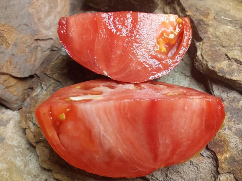 Australian Beauty Tomato Seeds For Sale At Bounty Hunter Seeds!