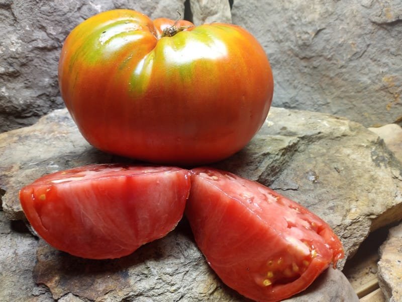 Australian Beauty Tomato Seeds For Sale At Bounty Hunter Seeds!