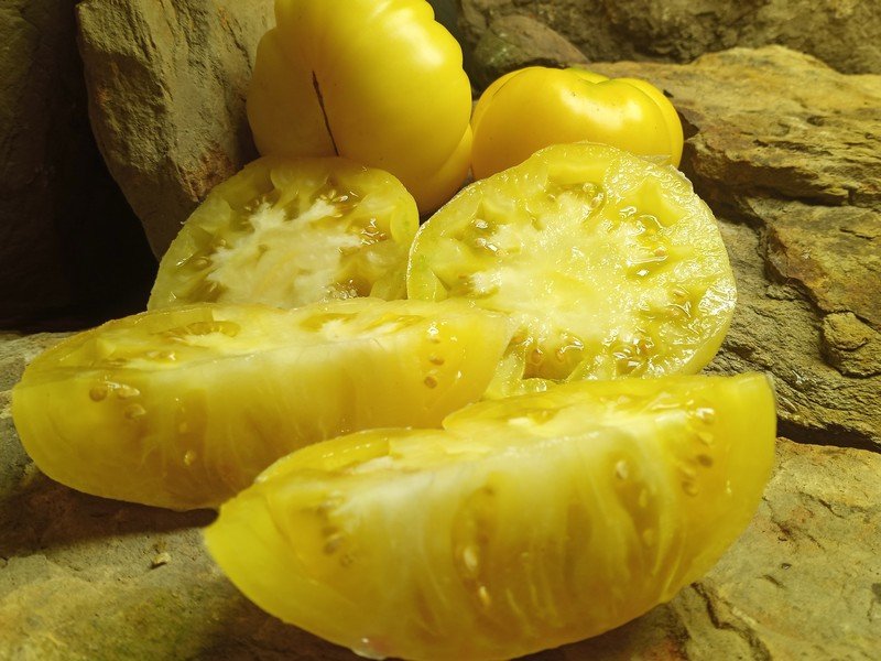 Dean's Rainbow Dwarf Tomato Seeds For Sale At Bounty Hunter Seeds!