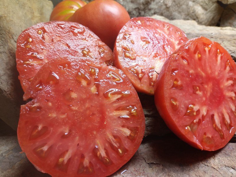 Dester Tomato-Bounty Hunter Seeds-Rare Heirloom Tomato Seeds