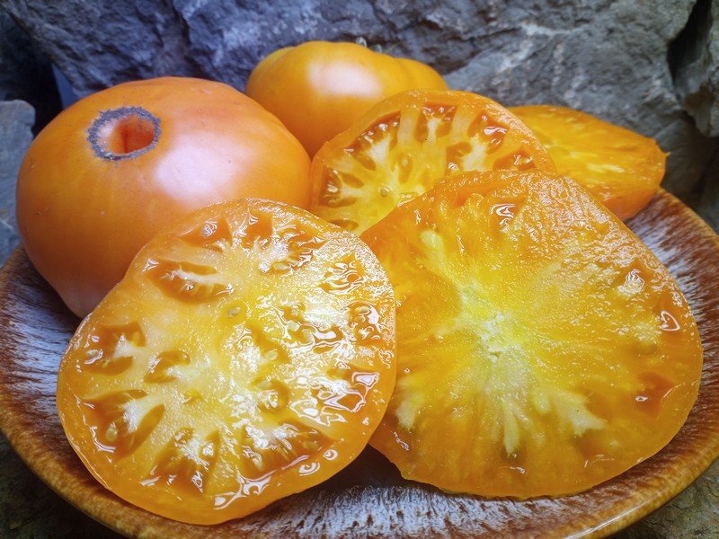 Dr. Wyche's Yellow Tomato-Bounty Hunter Seeds-Heirloom Seeds