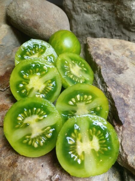 Green Zebra Cherry Tomato-Bounty Hunter Seeds-Heirloom Seeds