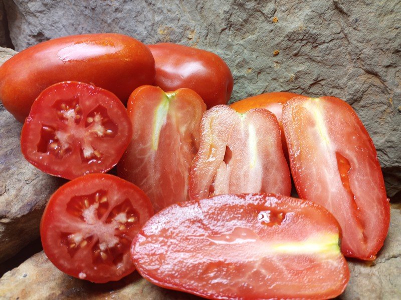 Libby's Pride Tomato-Bounty Hunter Seeds-Heirloom Tomato Seeds