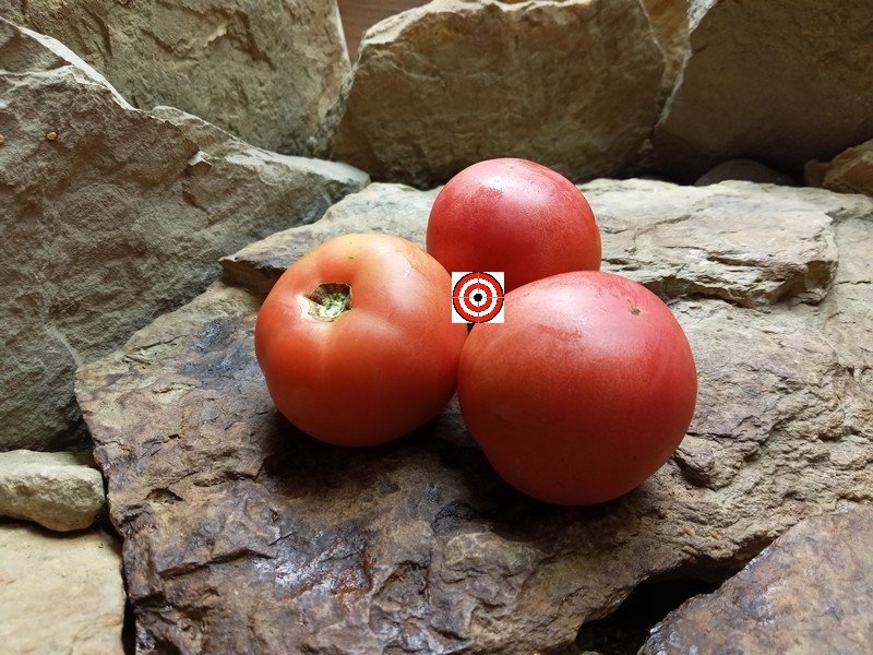 General Lee Tomato Seeds For Sale At Bounty Hunter Seeds!