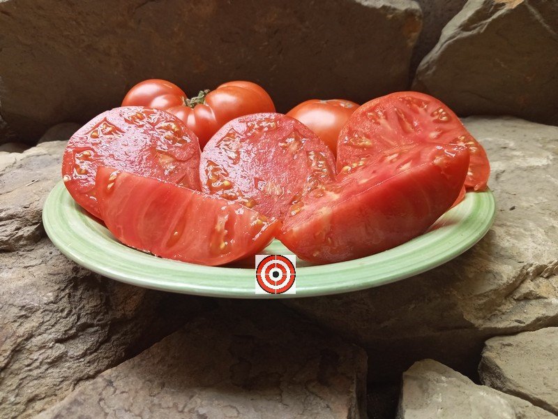Dwarf Hannah's Prize Tomato-Bounty Hunter Seeds-Rare Seeds