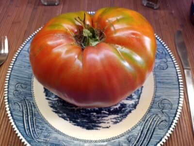 Top 10 Tomatoes You Should Grow By Bounty Hunter Seeds!