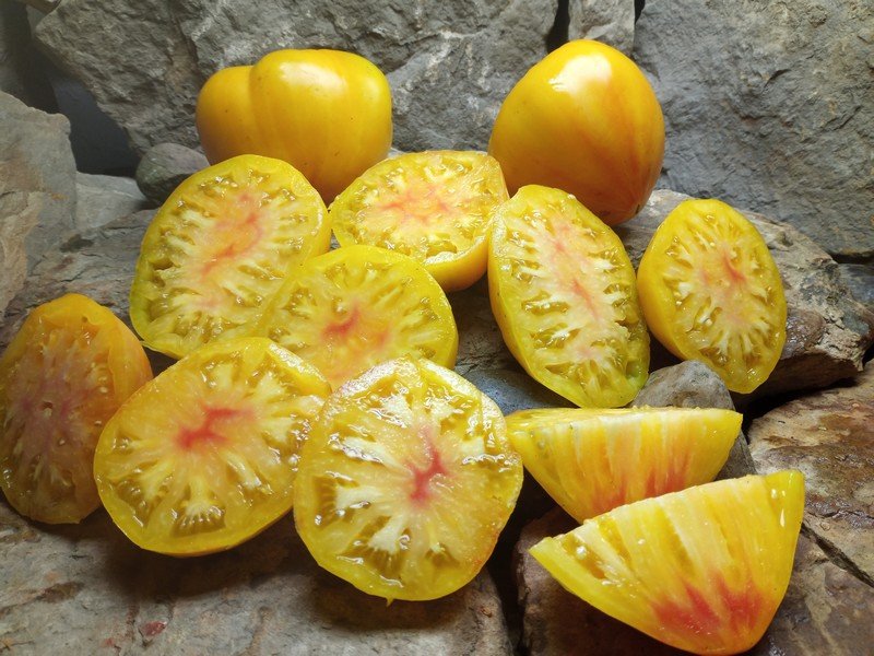 Heirloom Tomato Pictures 3- Bounty Hunter Seeds Organic Seeds