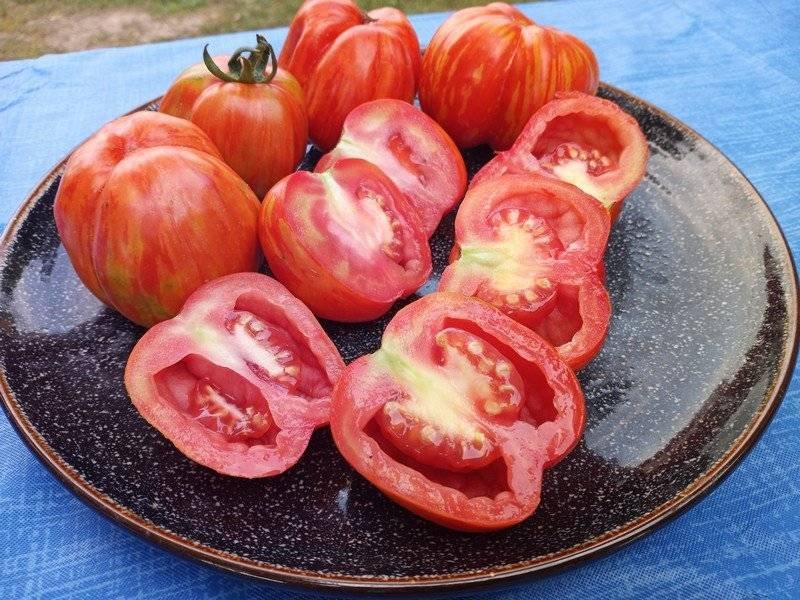Heirloom Tomato Pictures Gallery 4-Bounty Hunter Seeds-