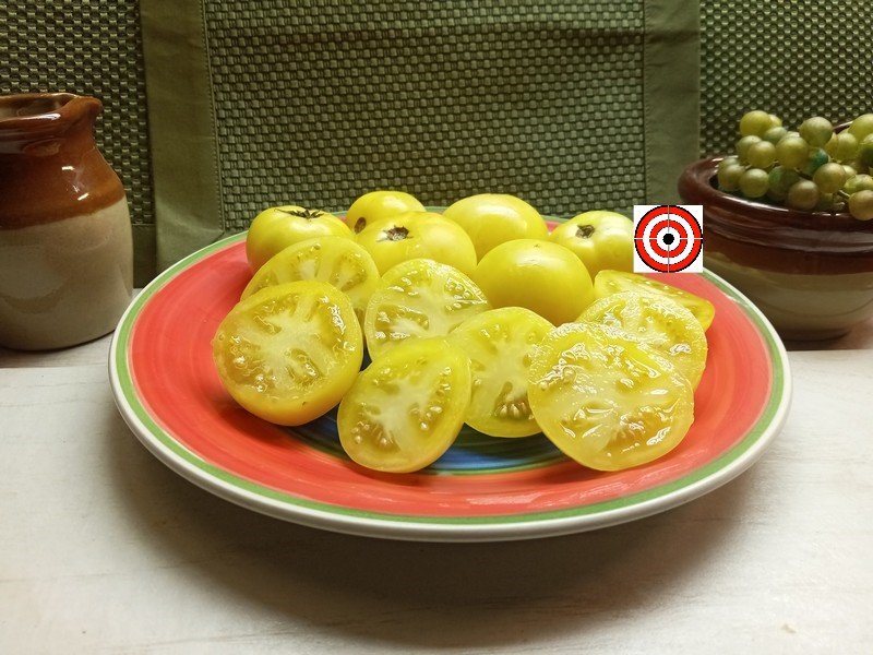 Dwarf Barossa Fest Tomato - Heirlooms - Bounty Hunter Seeds