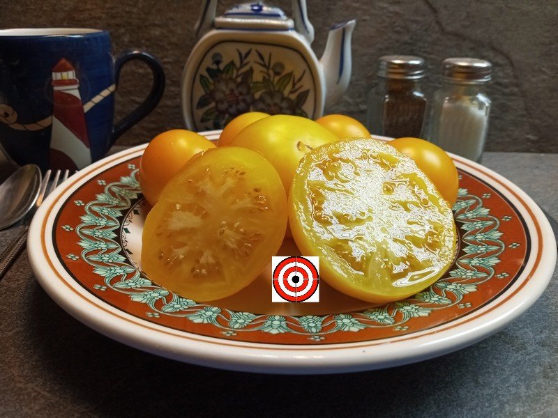 Blonde Boar Tomato-Brad Gates Tomatoes-Bounty Hunter Seeds