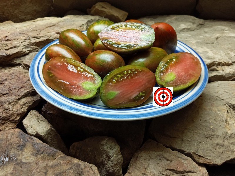 Boar's Tooth Tomato-Brad Gates Seeds-Bounty Hunter Seeds