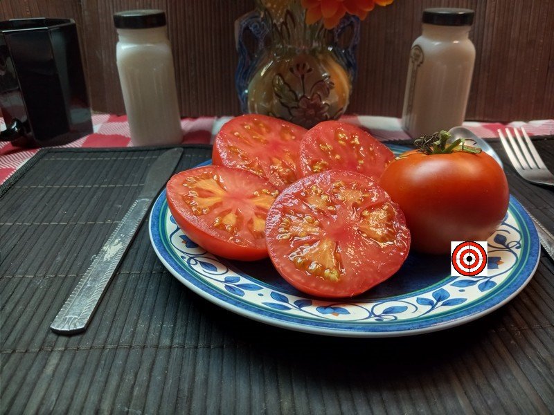 Cascade Lava Tomato-Bounty Hunter Seeds-Heirloom Tomatoes