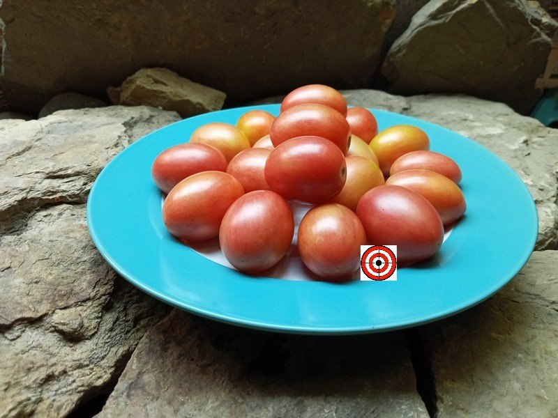 Candy Sweet Icicle Tomato-Brad Gates Seed-Bounty Hunter Seeds