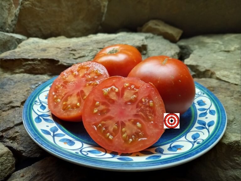 Cascade Lava Tomato-Bounty Hunter Seeds-Heirloom Tomatoes