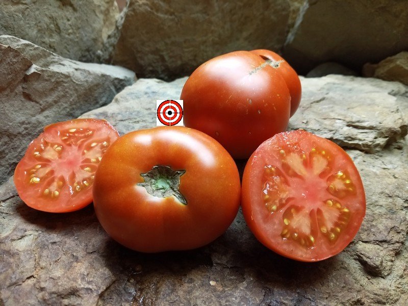 Cascade Lava Tomato-Bounty Hunter Seeds-Heirloom Tomatoes