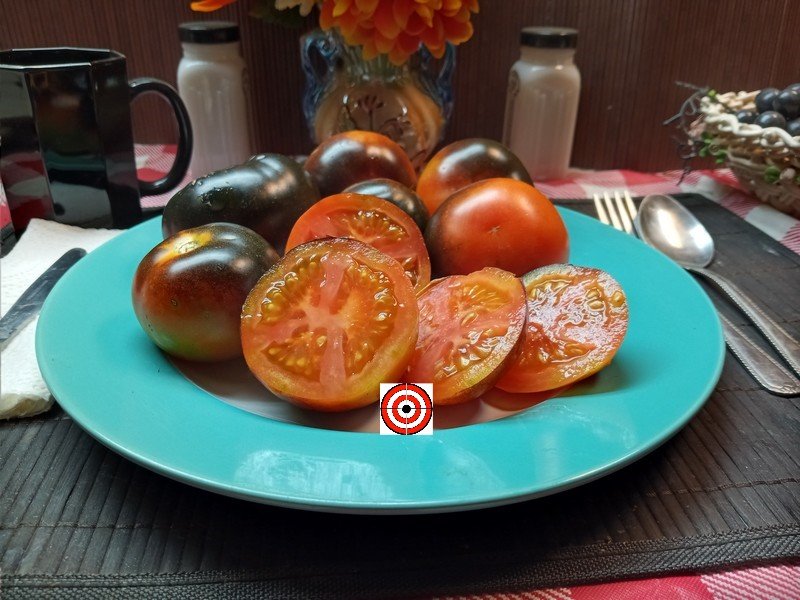 Cascade Village Blue Tomato-Tom Wagner-Bounty Hunter Seeds