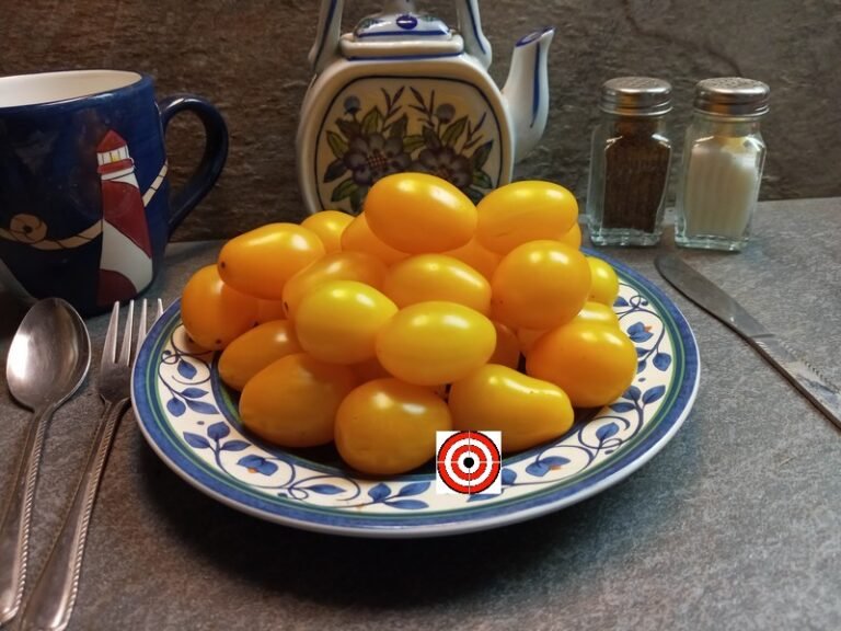 Annie's Sunshine Tomato-Bounty Hunter Seeds- Rare, Heirlooms
