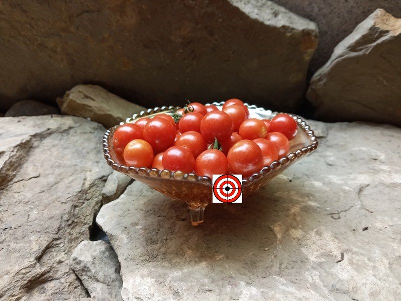 Apple Of Peru Tomato-Bounty Hunter Seeds-Rare Heirloom Seeds