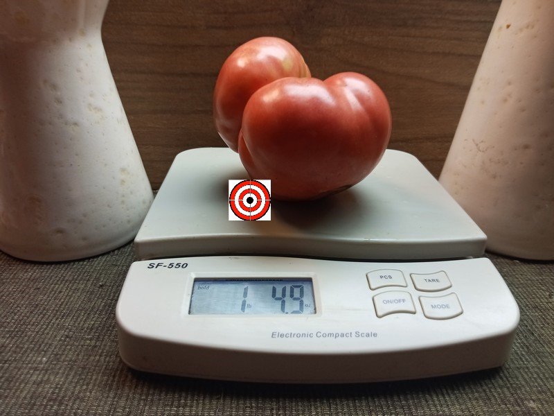 Brandywine Pink Tomato-Heirloom Tomatoes-Bounty Hunter Seeds