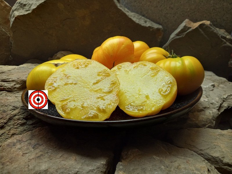 Big Yellow Zebra Tomato-Heirloom Seeds-Bounty Hunter Seeds