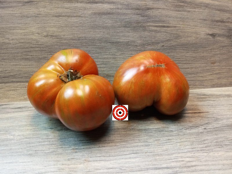 Dwarf Chocolate Lightning Tomato-Heirlooms-Bounty Hunter Seeds