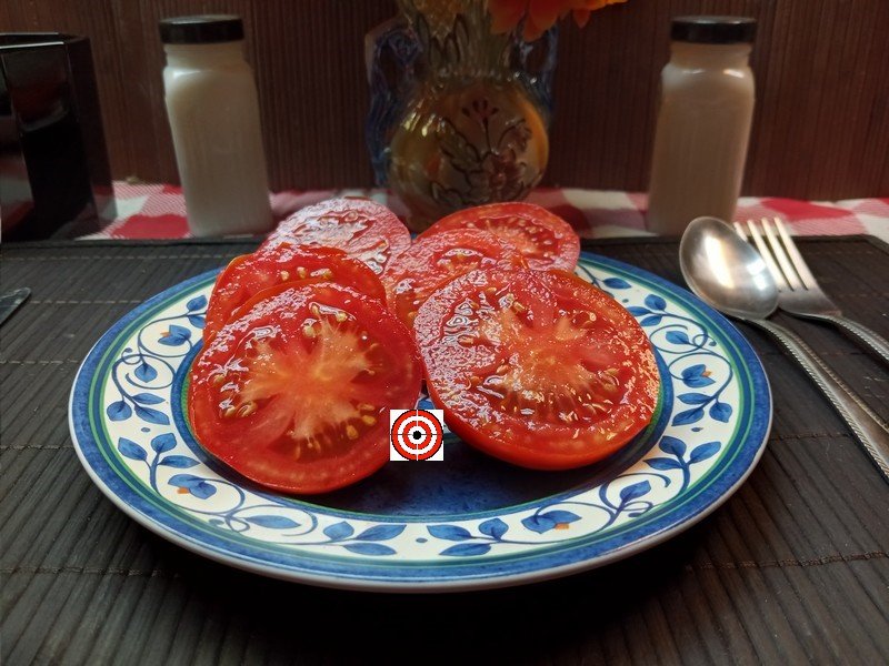 Coastal Pride Red Dwarf Tomato-Heirlooms-Bounty Hunter Seeds