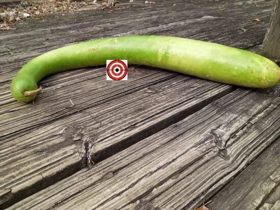Cucuzzi Snake Gourd - Bounty Hunter Seeds - Heirloom Seeds