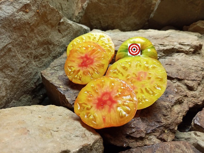 Dwarf Confetti Tomato-Bounty Hunter Seeds-Rare Tomato Seeds