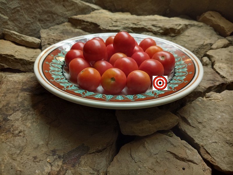 Dwarf Johnson's Cherry Tomato - Heirlooms-Bounty Hunter Seeds