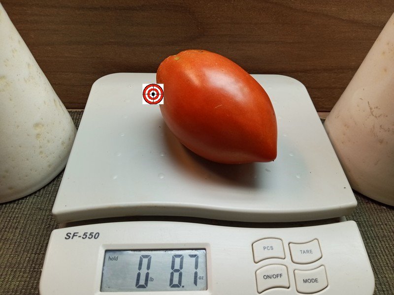 Santa Maria Tomato-Rare Heirloom Seeds-Bounty Hunter Seeds