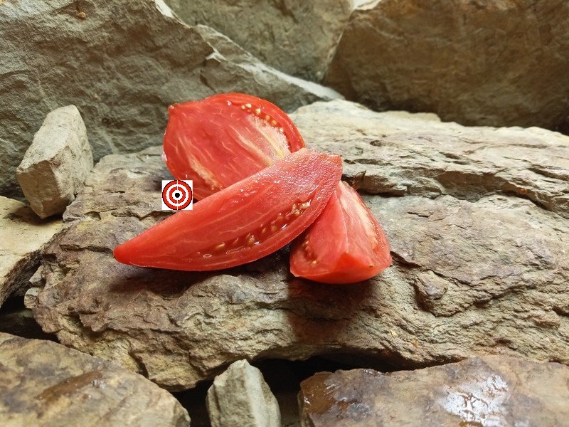 Santa Maria Tomato-Rare Heirloom Seeds-Bounty Hunter Seeds