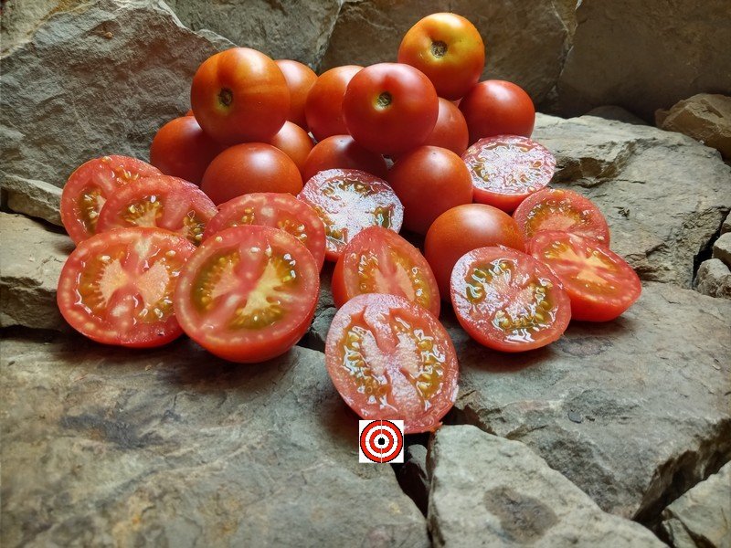 Variegated Tomato-Bounty Hunter Seeds-Rare Heirloom Seeds
