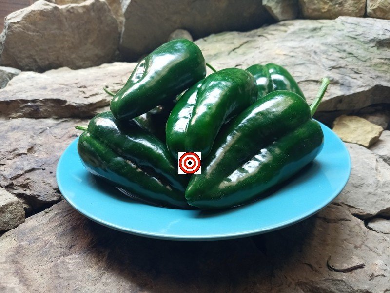 Ancho Poblano Pepper-Bounty Hunter Seeds-Heirloom Peppers