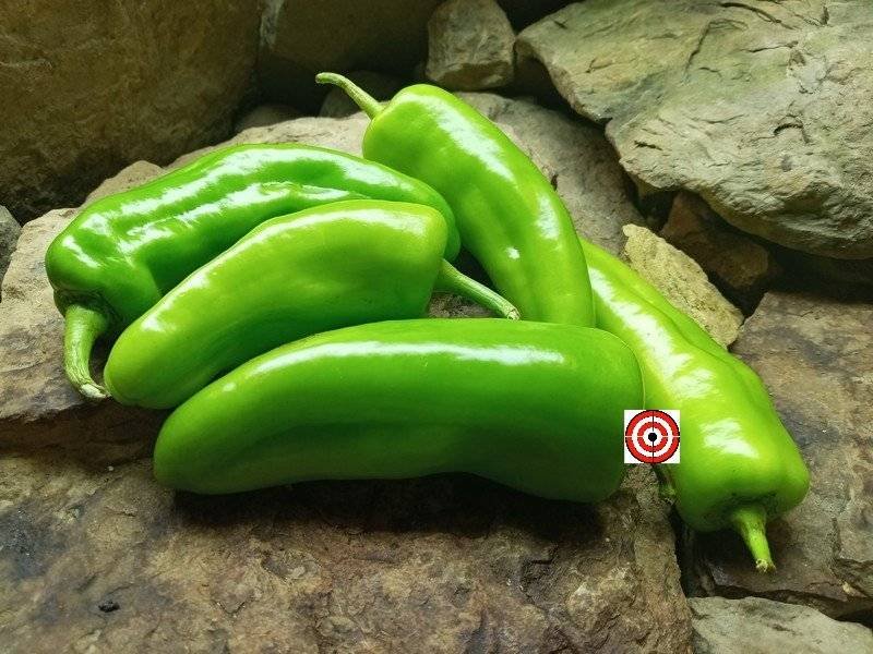Cubanelle Pepper-Bounty Hunter Seeds-Heirloom Pepper Seeds