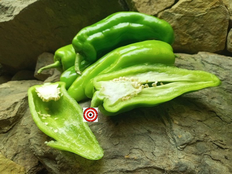 Cubanelle Pepper-Bounty Hunter Seeds-Heirloom Pepper Seeds