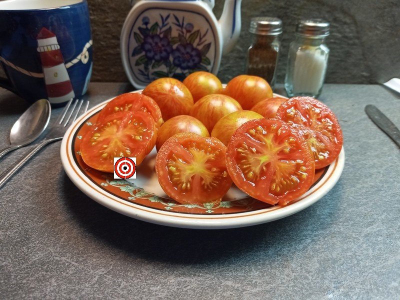 Dwarf Haley's Rainbow RL Tomato- Heirloom-Bounty Hunter Seeds