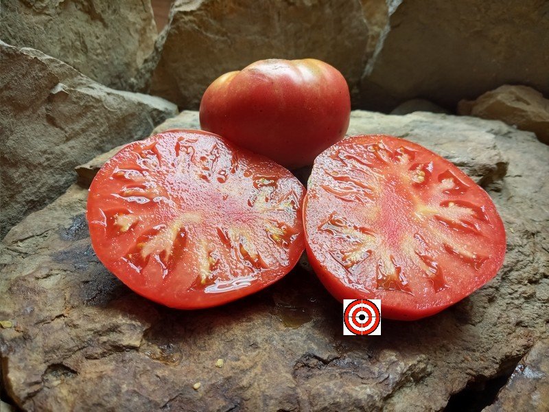 Dwarf Burpee Giant Tomato-Bounty Hunter Seeds-Heirloom Seeds