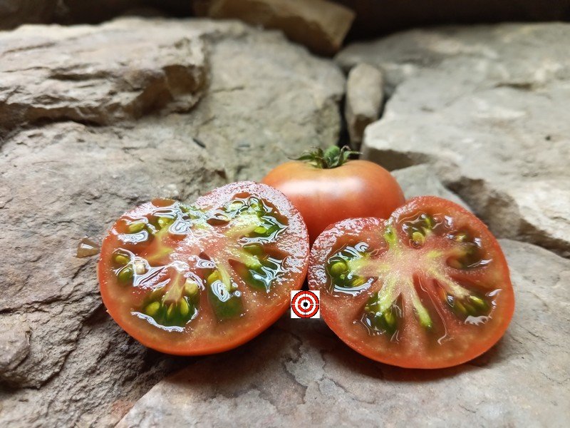 Dwarf Grape Nehi Tomato-Organic, Heirloom-Bounty Hunter Seeds
