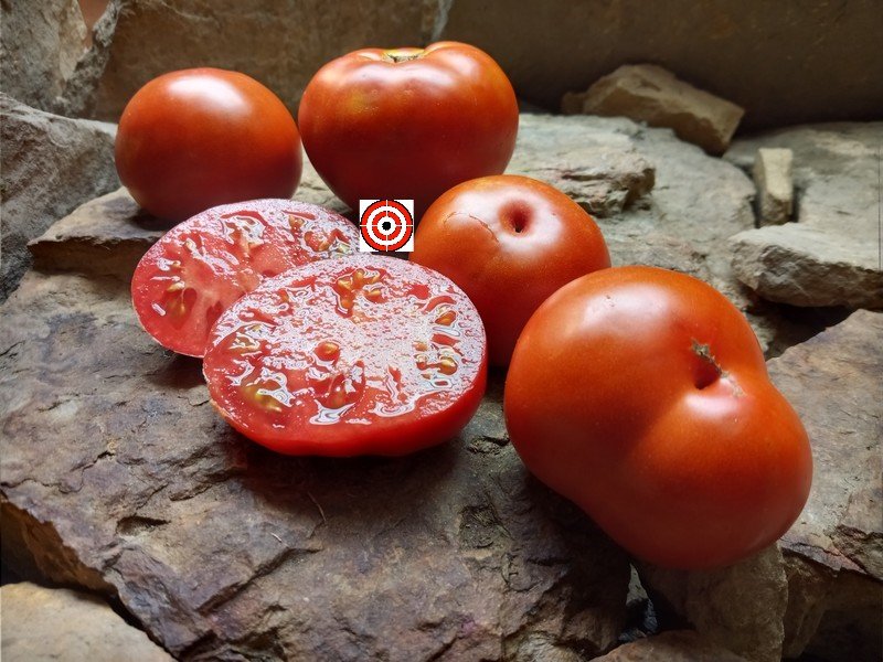 Dwarf Rosella Crimson Tomato-Bounty Hunter Seeds-Heirlooms