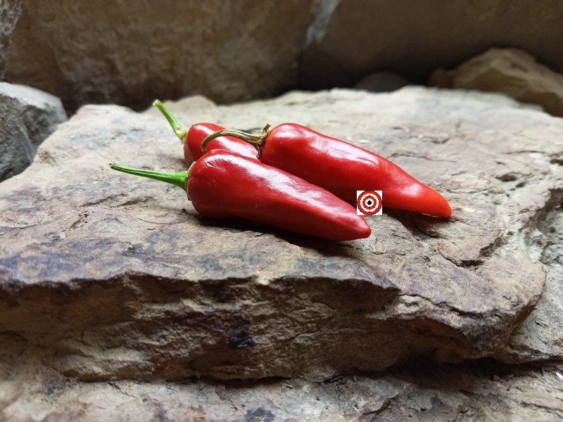 Fish Variegated Pepper-Bounty Hunter Seeds-Heirloom Peppers