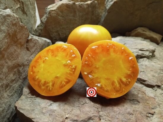 Gold Brooks Tomato-Bounty Hunter Seeds-Rare Heirloom Seeds