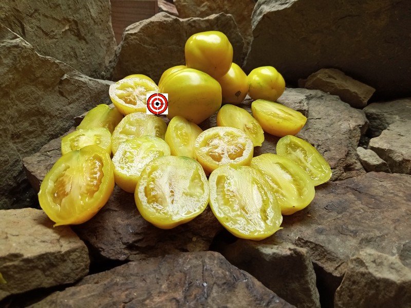 Golden Gates Tomato-Bounty Hunter Seeds-Heirloom Tomatoes