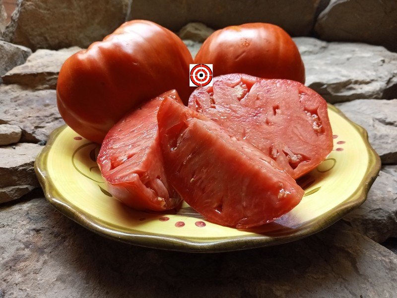 Goat Bag Tomato-Bounty Hunter Seeds-Rare Heirloom Tomatoes